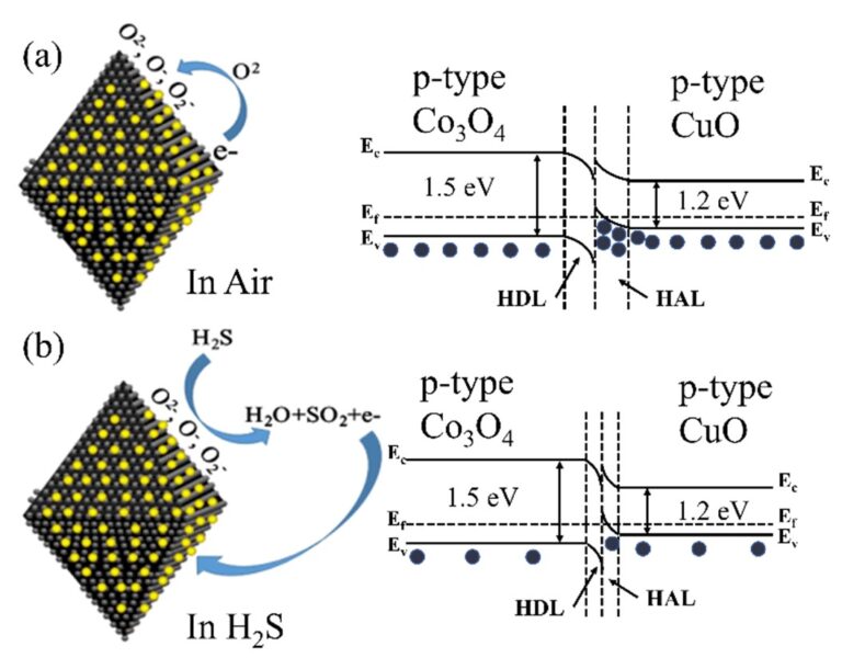 NANO编辑优选：基于双金属MOF衍生的CuO/Co3O4复合材料制备高性能H2S气体传感器 - IOP China