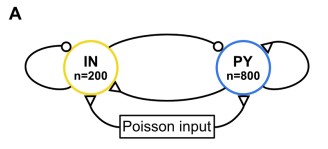 Journal of Neural Engineering期刊亮点文章 - IOP China